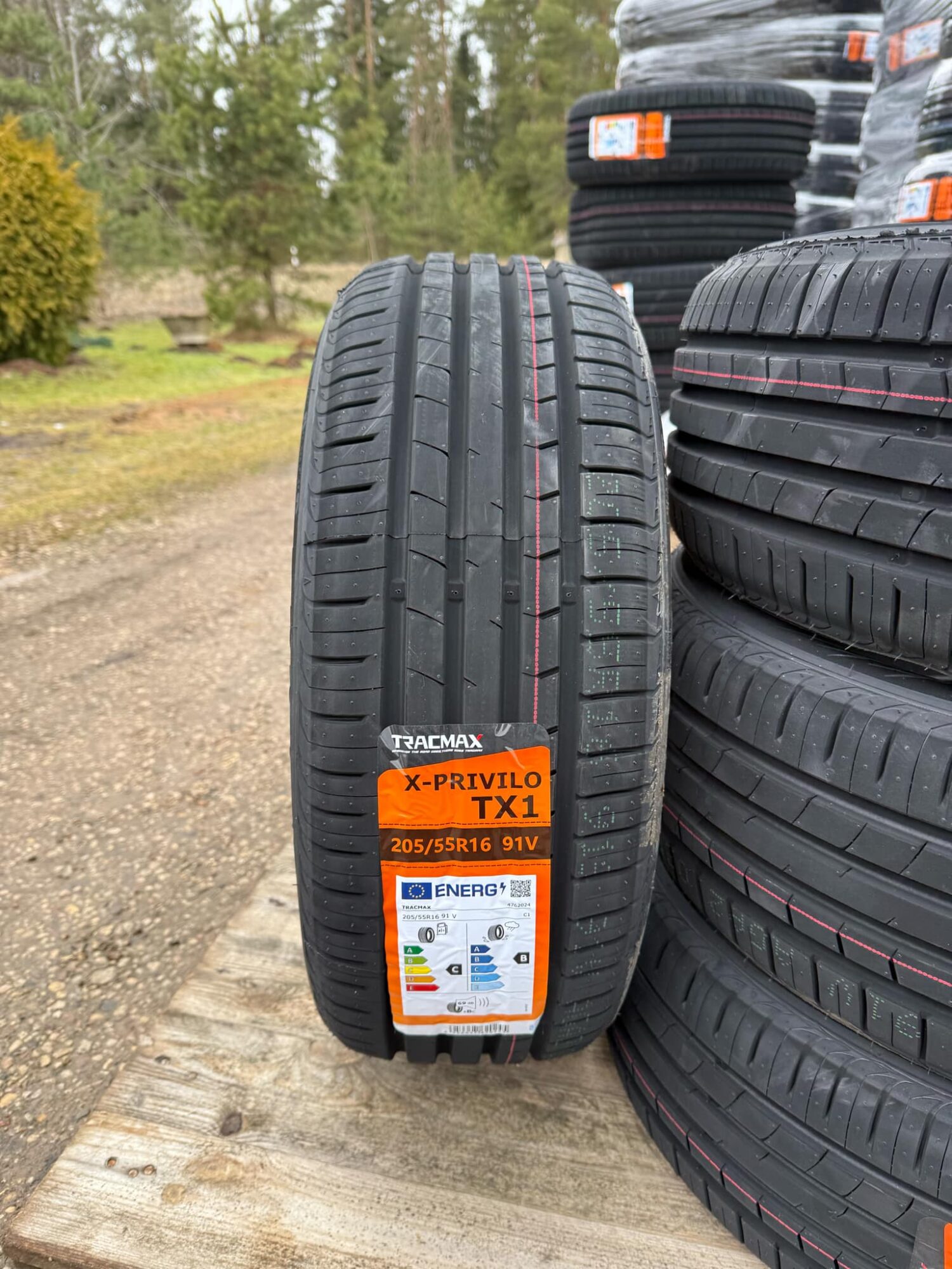 205/55R16 Tracmax X-privilo TX1 91V - Soodsad Suverehvid